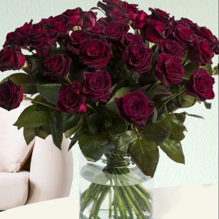 Hybrid Black Ruby Roses Flower SeedS- 25 Pcs Seeds | Daraz.com.bd