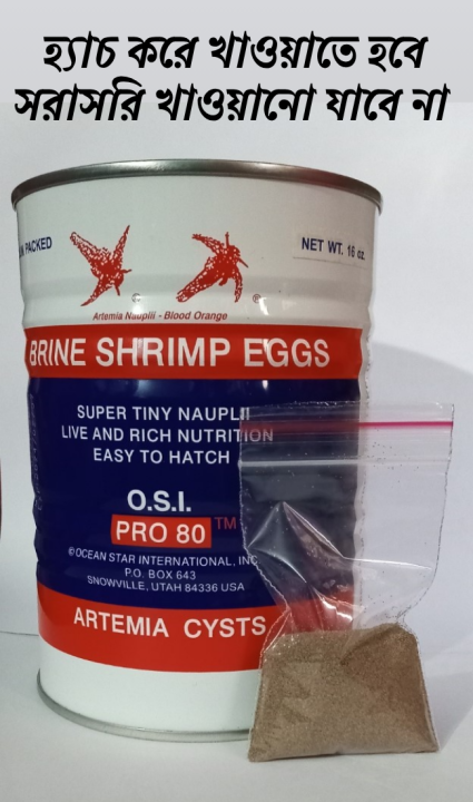 Hatchable Brine Shrimp Eggs for Fish Red Jungle Brand OSI 10 Grams Re ...