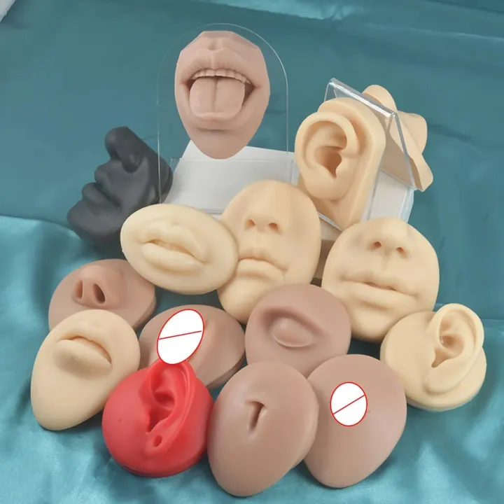 1PC Body Model Silicone Ear Nose Model Professional Practice Piercings ...
