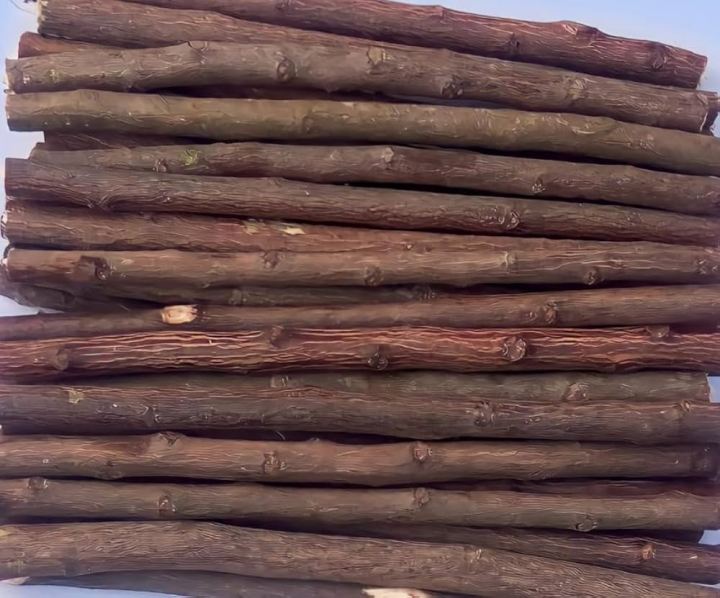 Neem ka Daton/Ayurvedic natural neem toothbrush/organic toothbrush/neem ...