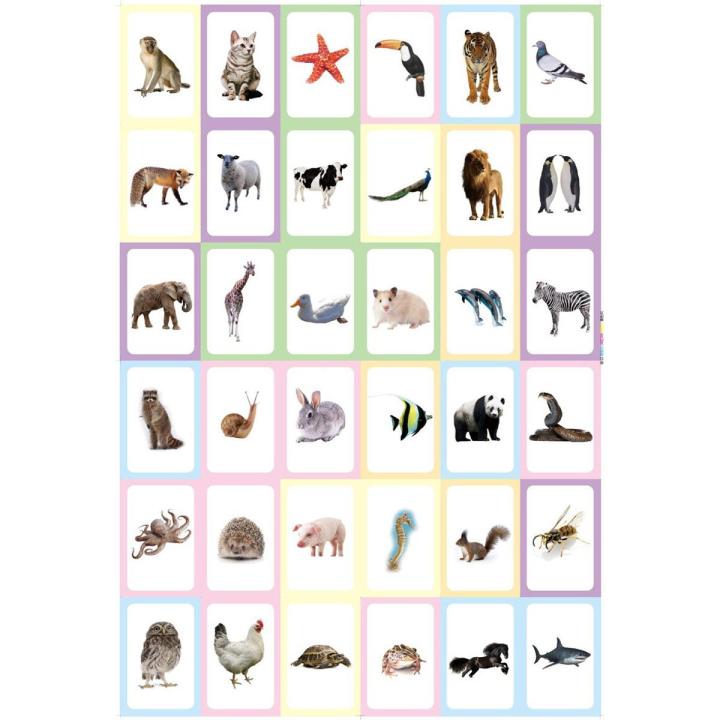 36 Piece/set Animals Flash Cards Teach Kids | Daraz.com.bd