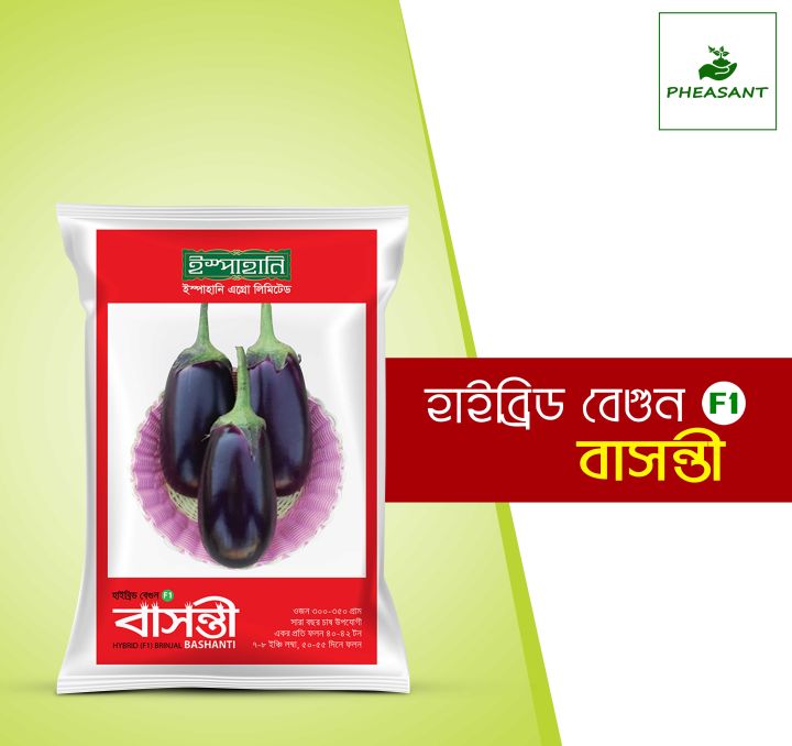 Hybrid (F1) Brinjal (বেগুন) Seed Bashanti (Mini Intact Packet) | Daraz ...