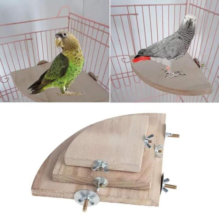 bird parch corner tool bird play toy bird accessories 5" inches | Daraz ...