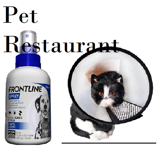 Frontline Spray 100ml + E Coller for your cat and dog | Daraz.com.bd