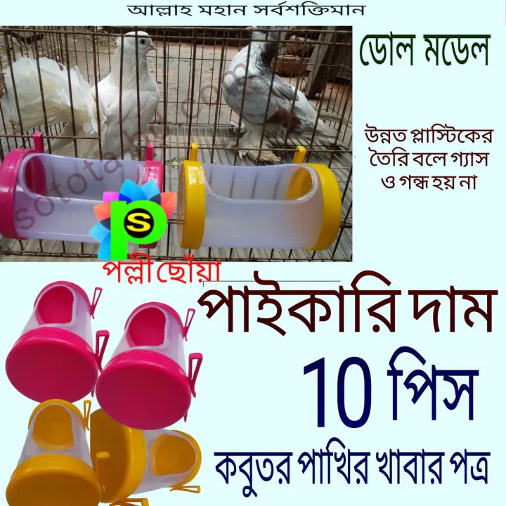 Pigeon / Pet Birds Drum Food Pot 10 Pcs | Daraz.com.bd