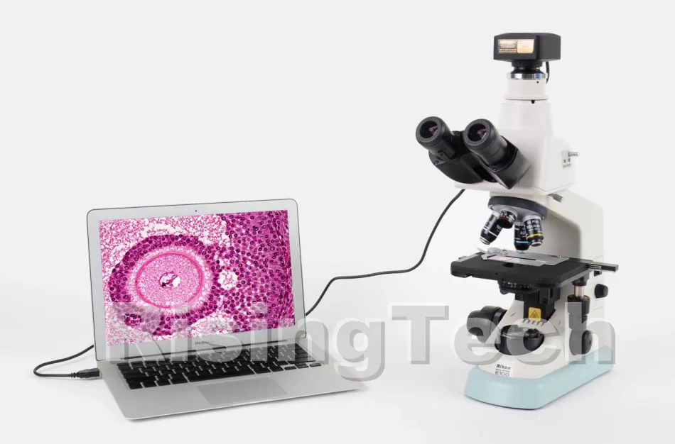 C3 10mp USB3.0 C mount SONY imx577 CMOS sensor digital video microscope ...