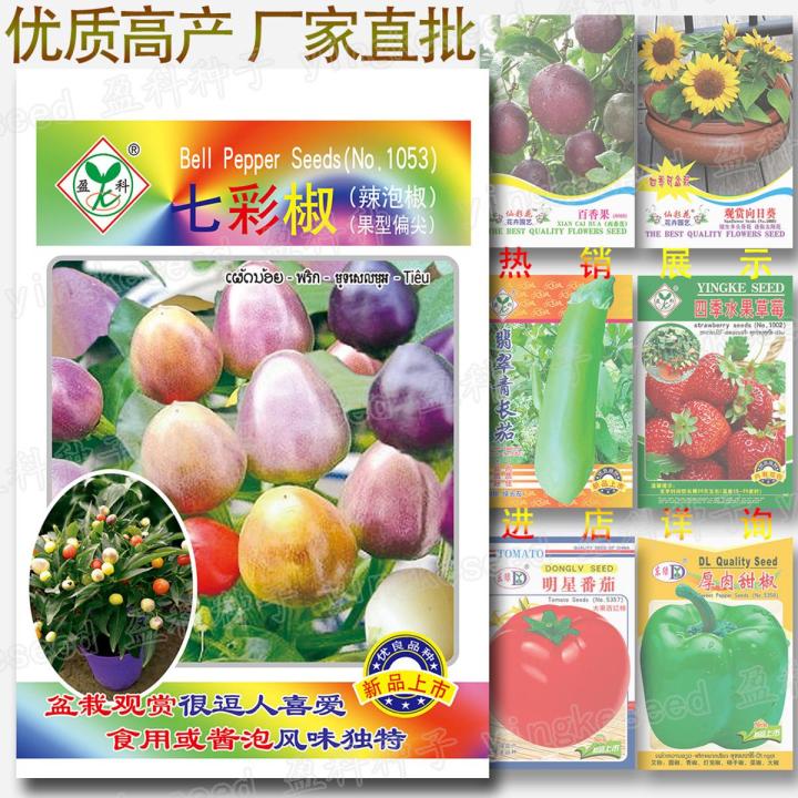 Bell Pepper Seeds 1 packet | Daraz.com.bd