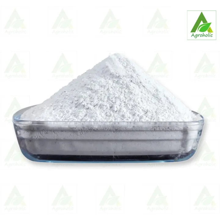 Perlite Powder ( Premium Quality ) - 100 gm | Daraz.com.bd