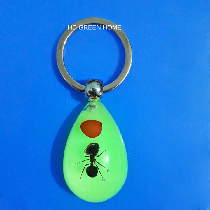 Luminous Large Ant Key Ring Glow in the Dark Fluorescent Keyring Key ...