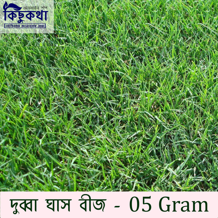 Durba Grass Seed - 5 gm - দূর্বা ঘাসের বীজ ৫ গ্রাম বা প্রায় ২০০০+ টি ...