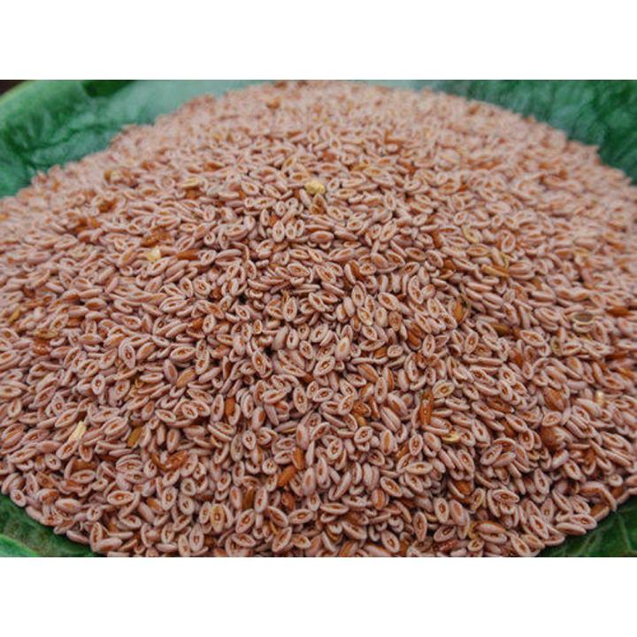 Ispaghula Seed/ Isobgul Dana -250gm | Daraz.com.bd