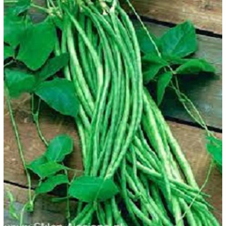 Hybride String Beans (Borboti)Seeds -30Pcs | Daraz.com.bd