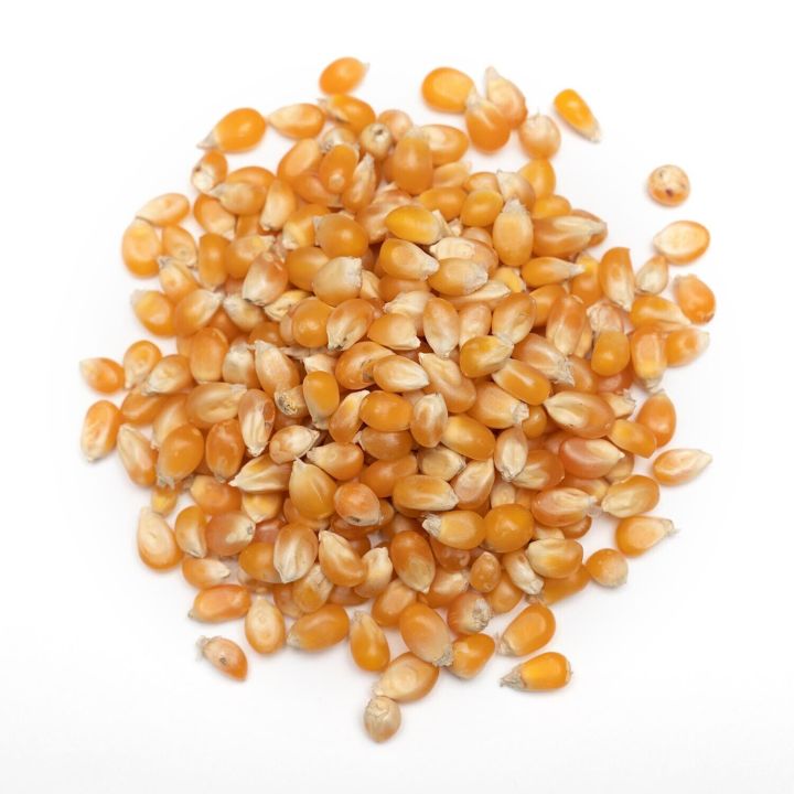 Popcorn Seeds 1kg | Daraz.com.bd