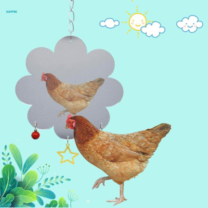 Chicken Mirror Toys with Bells, Parrot Mirror Toys Chicken Toys for ...