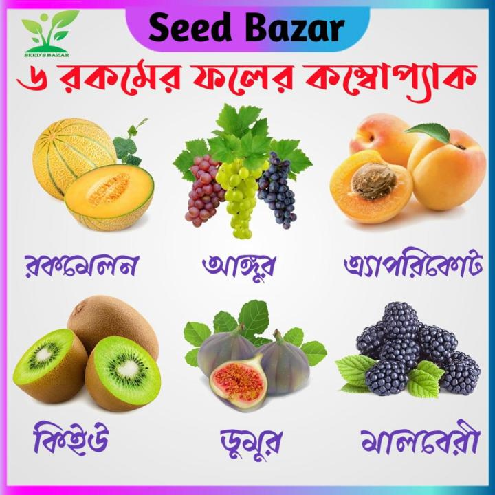 25 Pis Fruits Seeds Combo pack (all season) | Daraz.com.bd