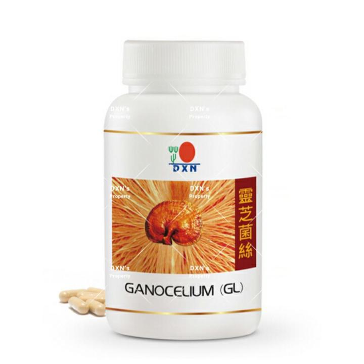 Ganocelium (GL) 100% Ganoderma Mycelium 360 pcs | Daraz.com.bd