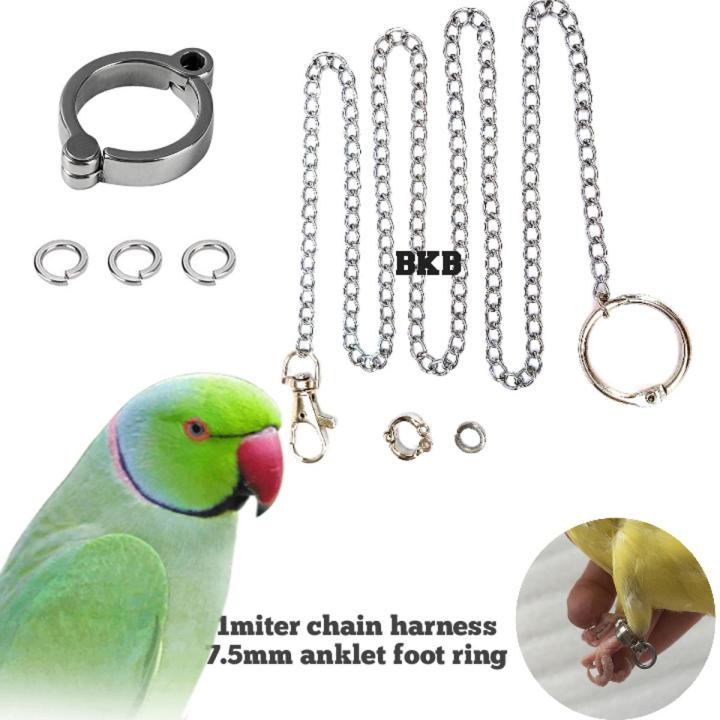 Metal Foot Chian Harness Leash & anklet Ring 7.5mm anklet foot ring ...