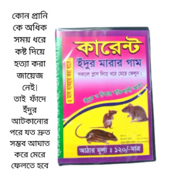 Advanced inspiring - Unique Make - Rat killing gum - china rat glue ...