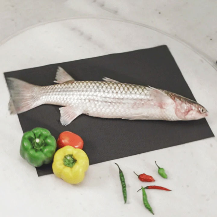 Vangal Processed Fish – 500g | Convenient & Flavorful Seafood | Daraz ...