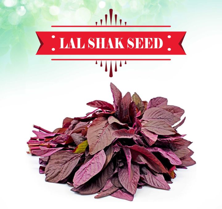 Lal Shak (লাল শাক) Seeds - 20gm (Repacked) | Daraz.com.bd