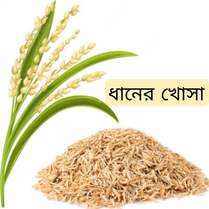 Rice Husk (Dhaner Khosa) -500g | Daraz.com.bd