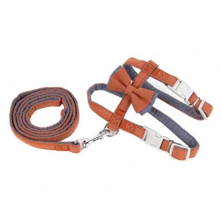 2Pcs/Set Adorable Traction Rope Wear Resistant Safety Buckle Solid ...