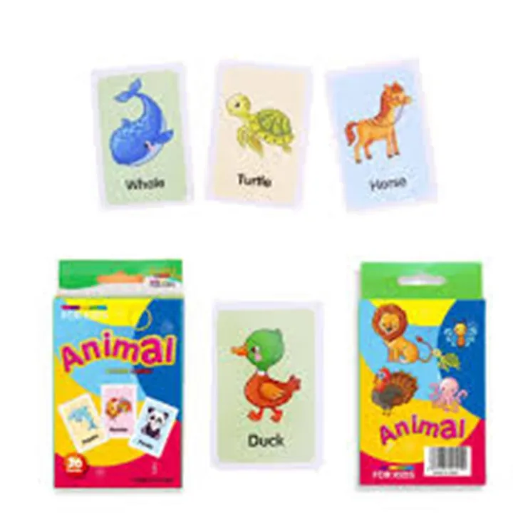 Animal Flash Cards - Multi Color | Daraz.com.bd