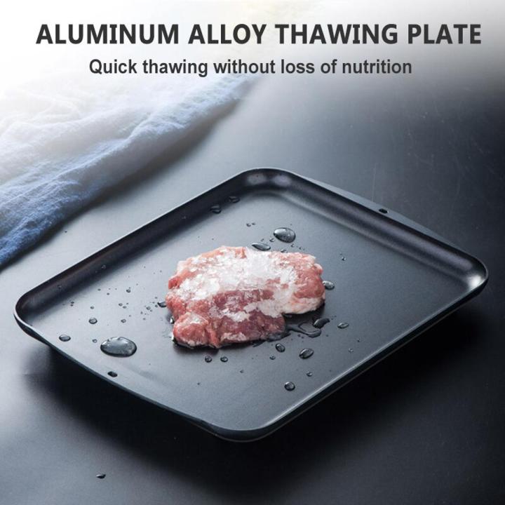 Thaw Plate Meats Beef Thaw Plate Board Fast Thawing Defrost Plate 2.5cm ...