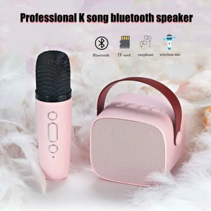 Portable Karaoke Speaker Kits Bluetooth Speaker With Wireless ...