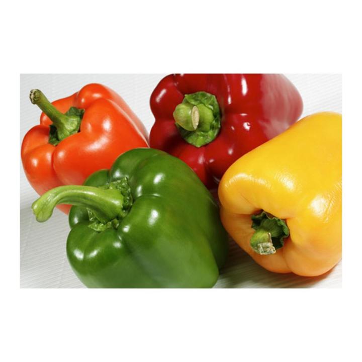 Hybrid Capsicum Seeds Intact packet | Daraz.com.bd
