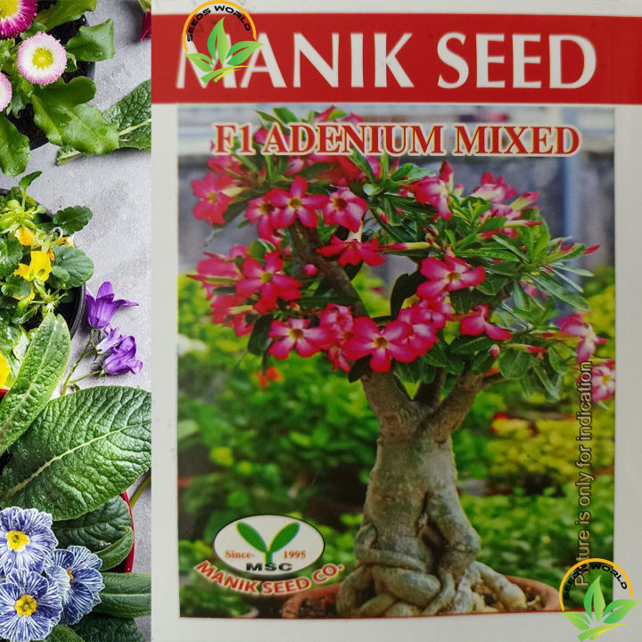Bonsai F1 Adenium Mixed seeds Intact Packet | Daraz.com.bd
