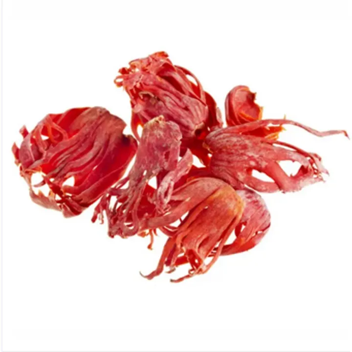 Joyotri (Joytri) Mashla - 25gm | Daraz.com.bd