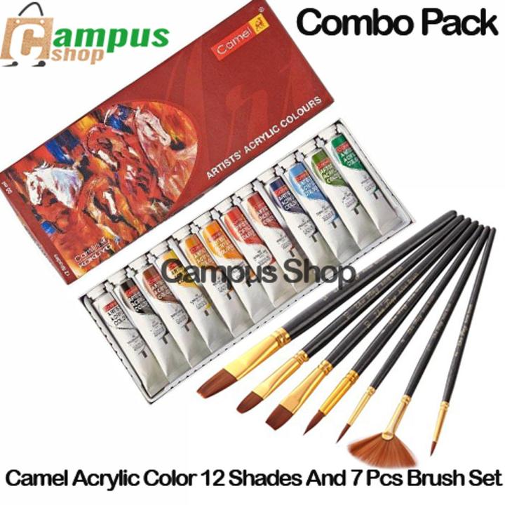 Camel Artists Acrylic Color 20ML Tube 12 Shades And 7 Pcs Artists Paint ...