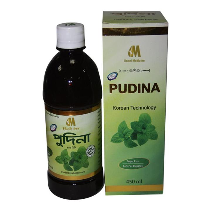 Pudina Juice- 450ml | Daraz.com.bd
