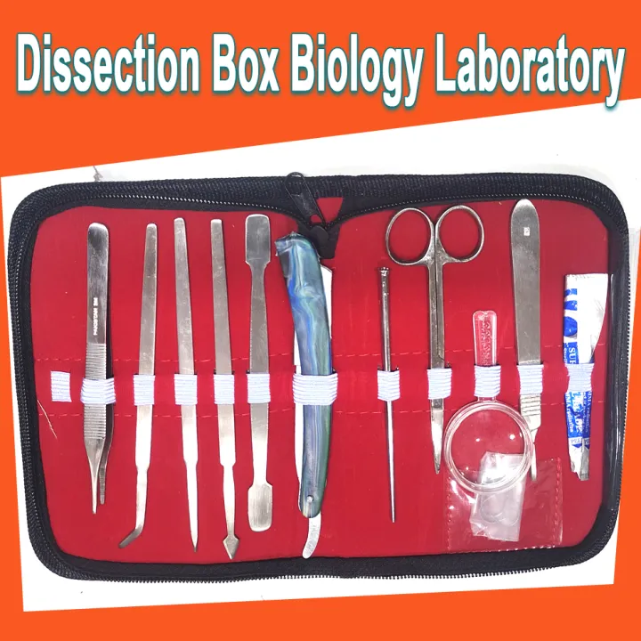 Dissection Box /Biology Laboratory for Medical Students Anatomy ...