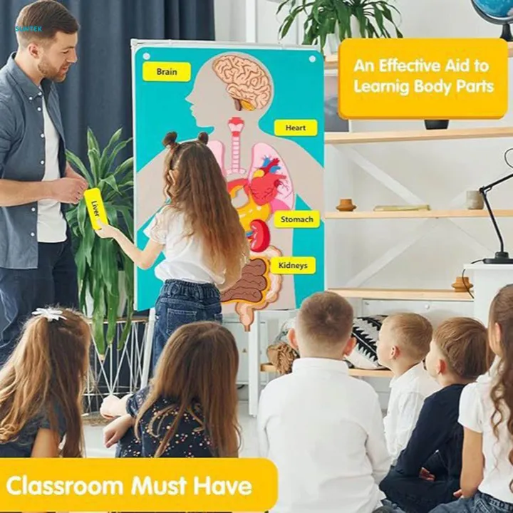 Teaching Body Parts Board Early Learning Human Body Structure Puzzles ...