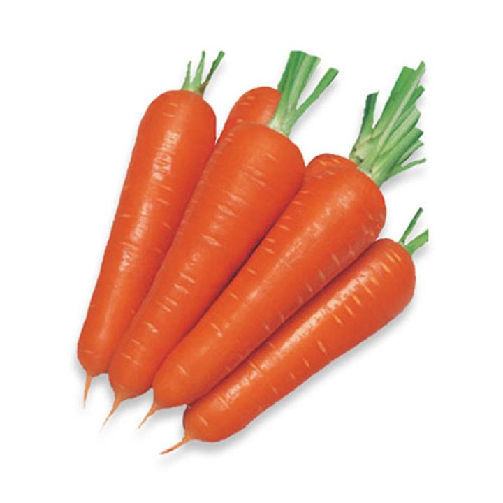 Hy variet Vegetable bonsai Daucus carota, Carrot 50 Pse | Daraz.com.bd