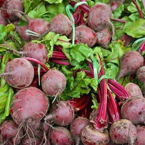 Beetroot Seed - 100 pcs Beetroot Seed - Repack | Daraz.com.bd