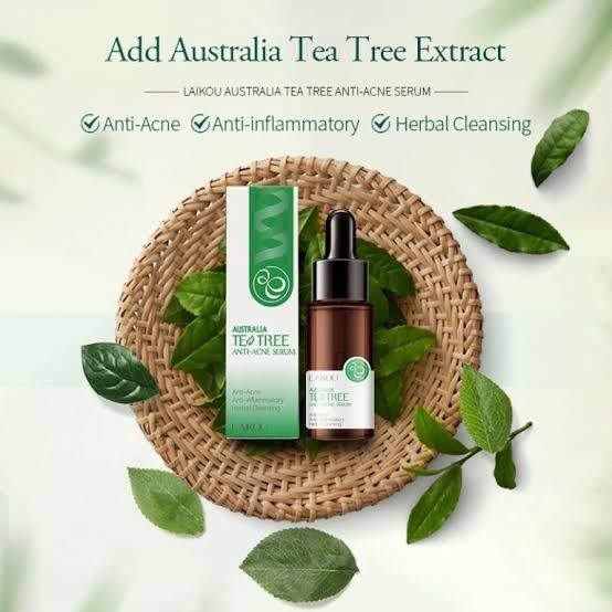 Laikou australia Tea tree Acne Treatment Brightening Moisturizing Oil ...