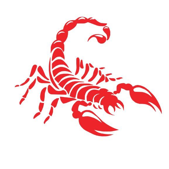 Scorpion sticker for bike | Daraz.com.bd