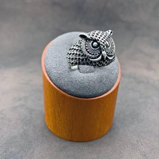 Man's Stylish Finger Ring- Owl Face Unisex Fashion Finger Ring -Owl ...
