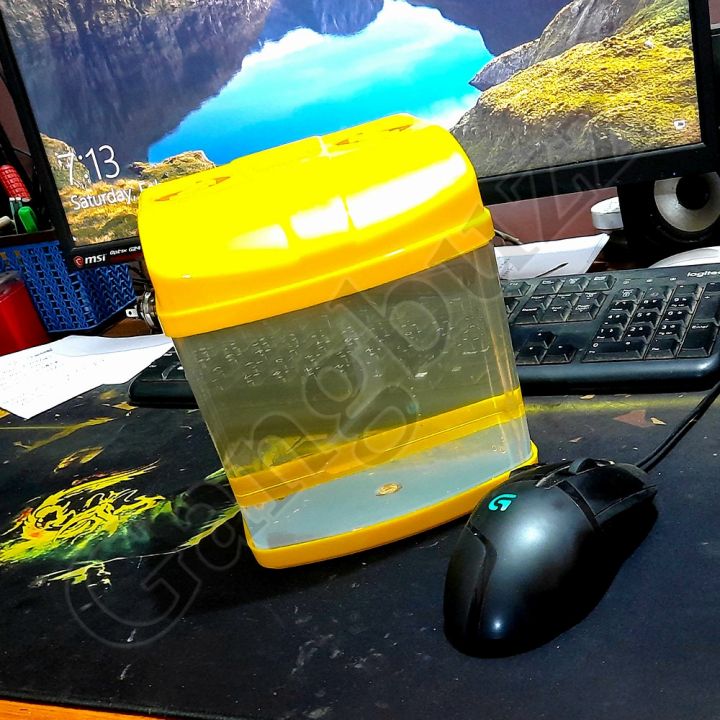 Hallofeed Desktop Mini Aquarium - Rectangular Shaped, 2.2 Liter ...