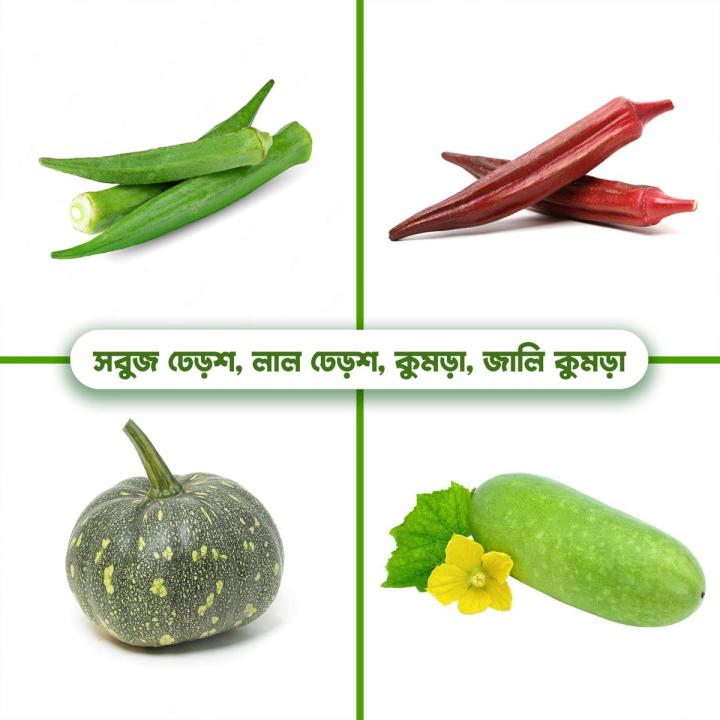 4 type vegetable combo pack 20 pice, green darosh, red darosh, kumra ...