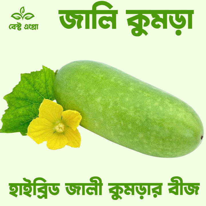 "Wax Gourd Vegetable (Jali Kumra) 30 piece seeds Seeds | Daraz.com.bd