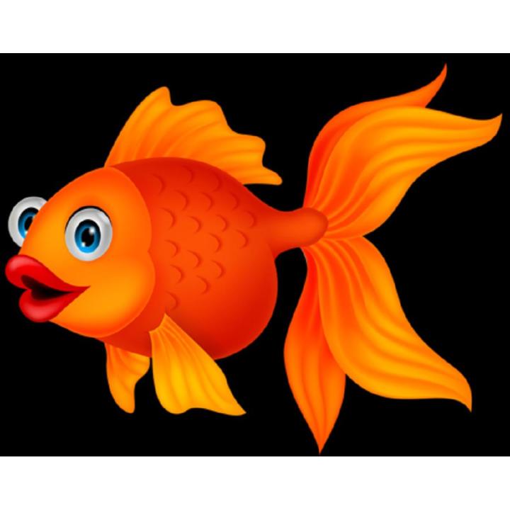 Fish Flash Card for Kids Early Learning 24 Cards | Daraz.com.bd