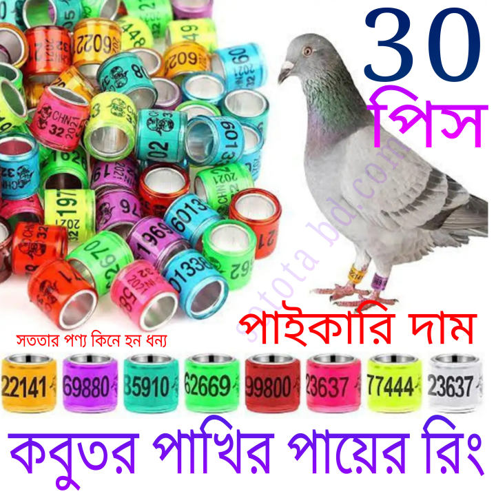 Pigeon Foot Ring for 2025 year Racing Pigeon Rings Pigeon Leg Bands ...