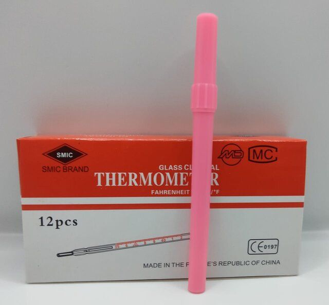 Clinical Thermometer (Brand JEVE) | Daraz.com.bd