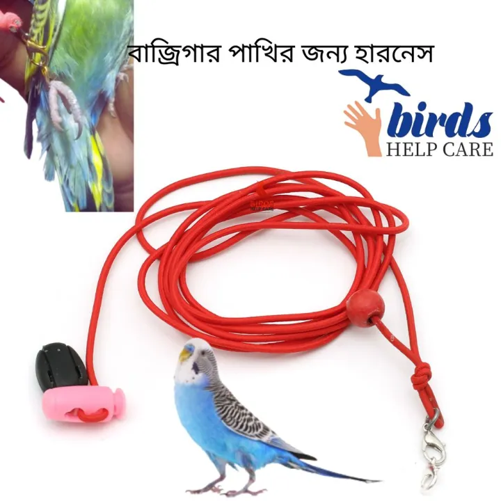 Birds Leg Chain For Small All Birds Flying | Daraz.com.bd