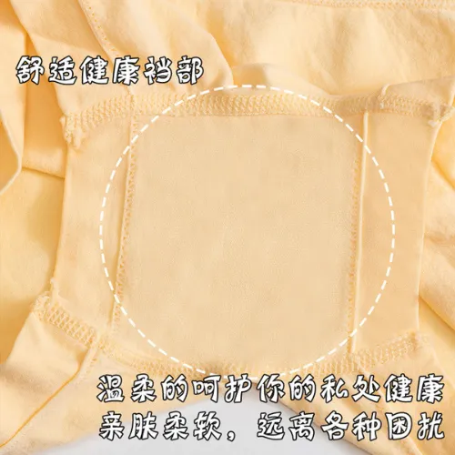 Trendsetter -Upscale Living -Panty women wear comfortable short pant ...