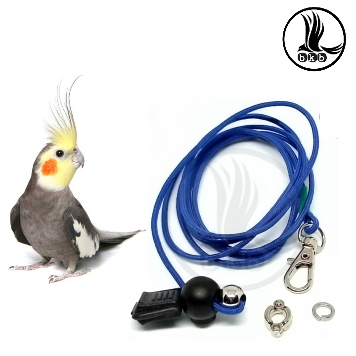 2m Elastic Hernes Rope with Anklet foot Ring - 5.5mm (full Set combo ...